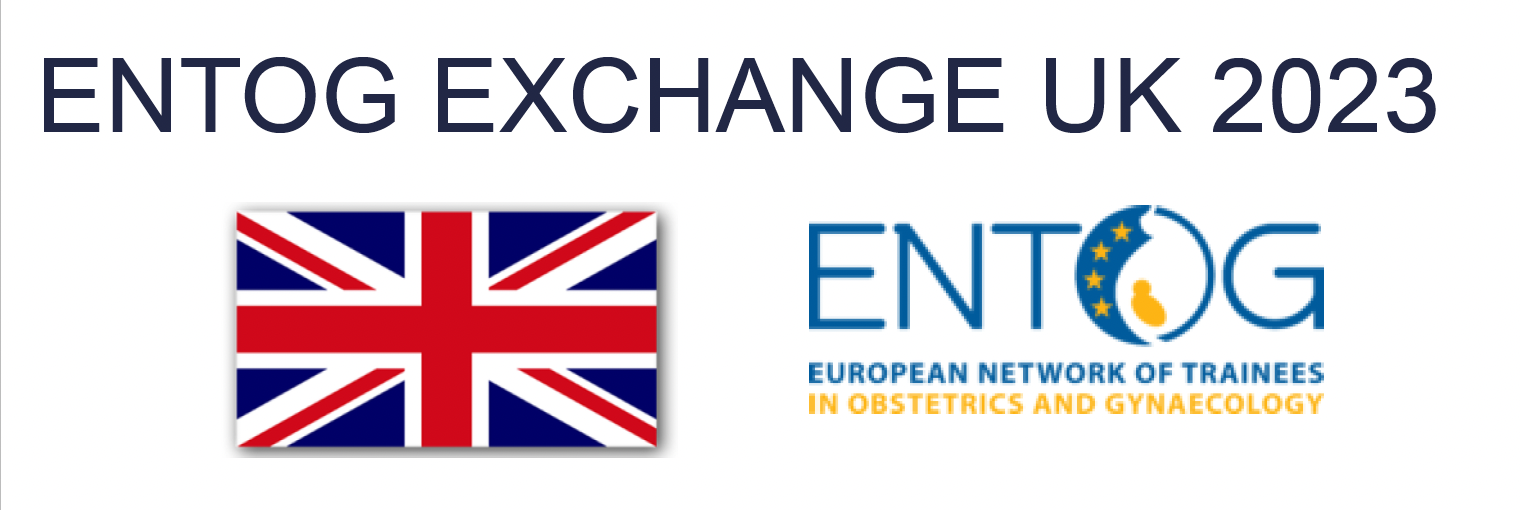 FYGO – Foreningen af Yngre Gynækologer og Obstetrikere